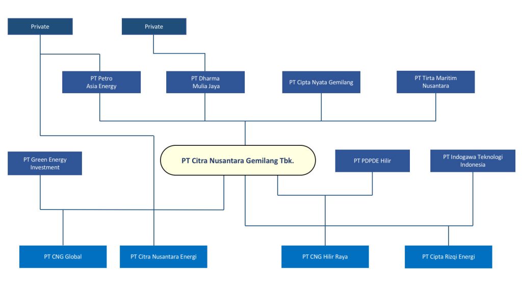 Company Structure - PT Citra Nusantara Gemilang